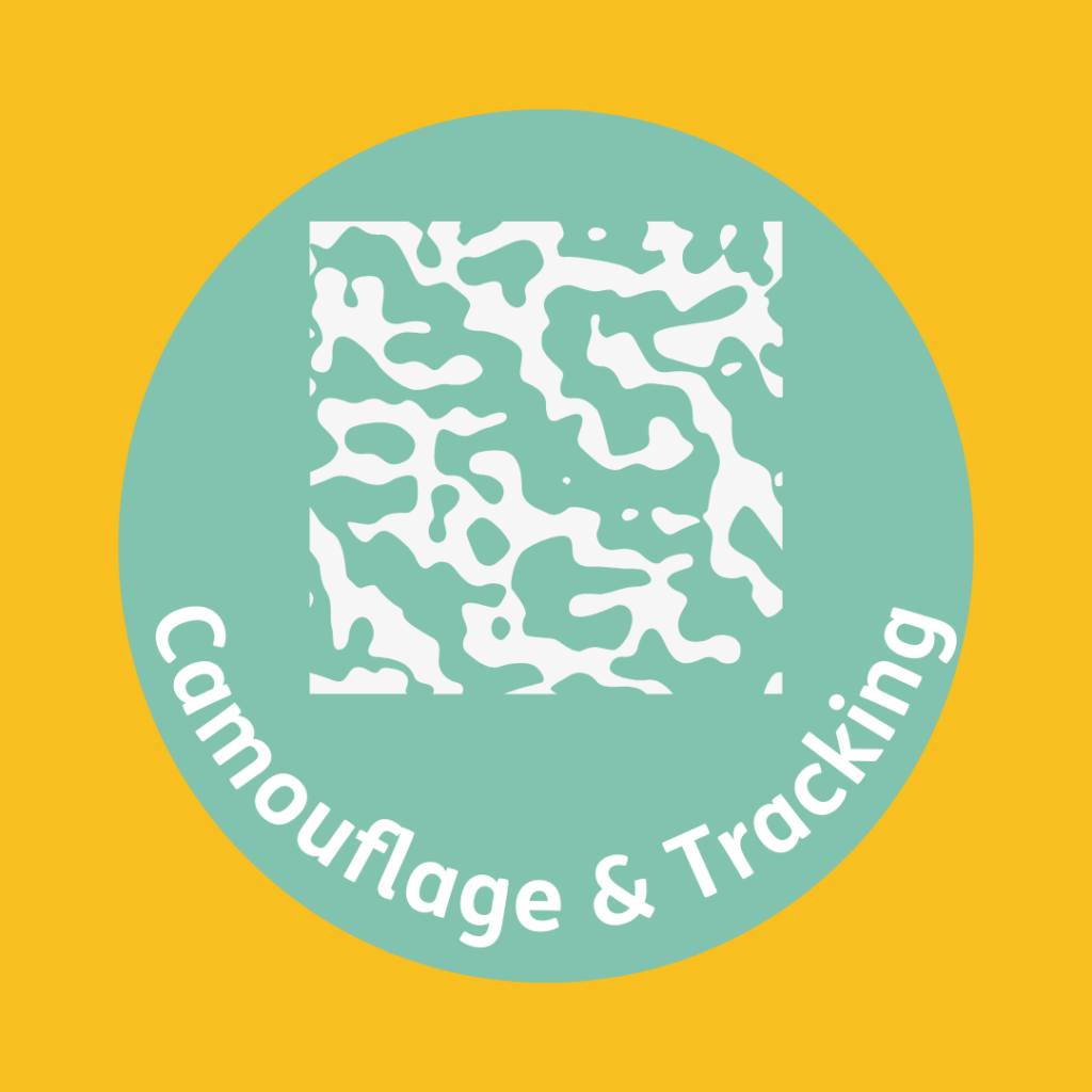 Activities at Fairthorne Manor | YMCA Fairthorne Group